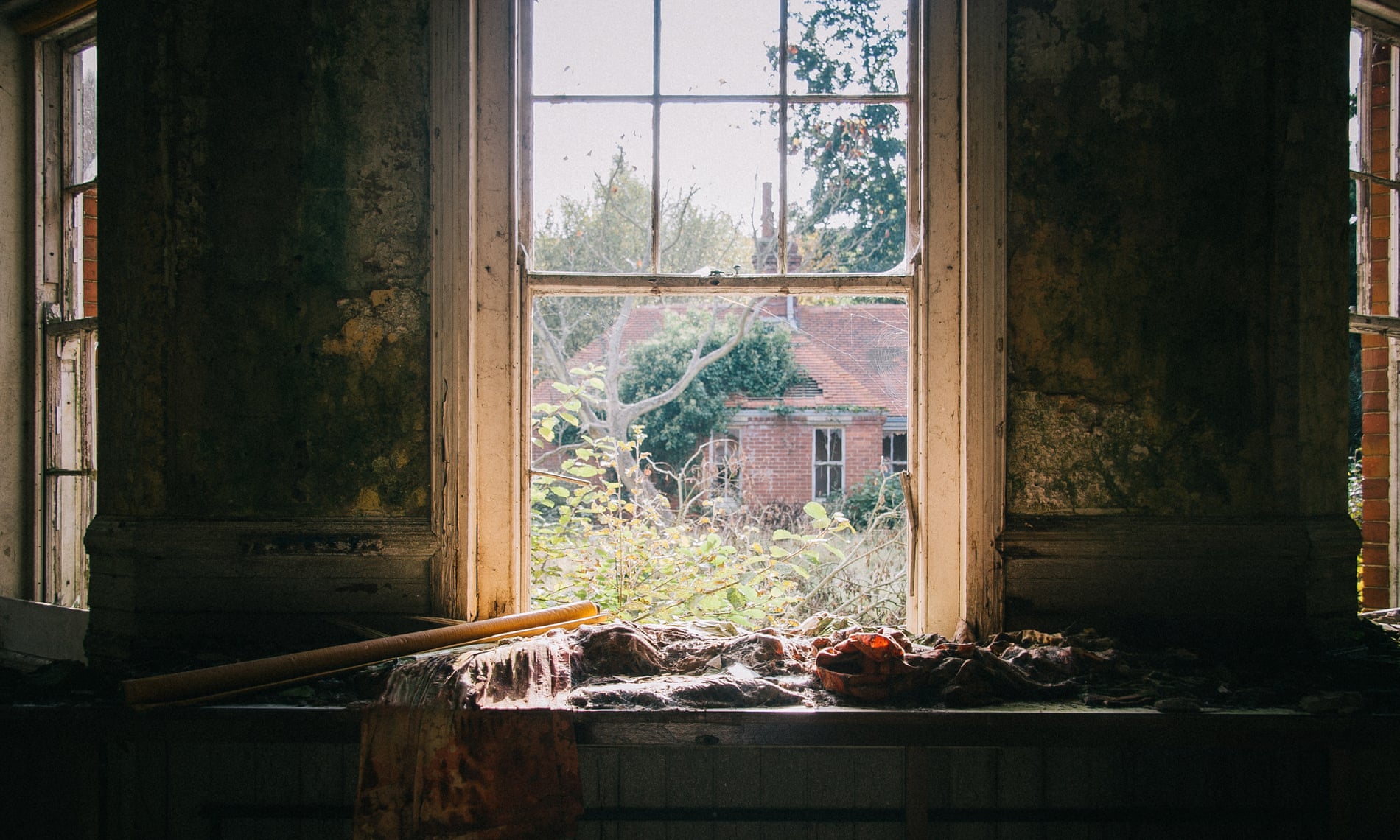 Reading of the Week: Is CBD Useful for Mood Disorders? The New CJP Paper. Also, Peer Support and ...